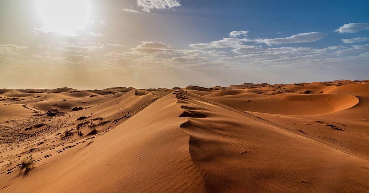 Sub-Saharan Africa in the spotlight at BU AGM in Rwanda